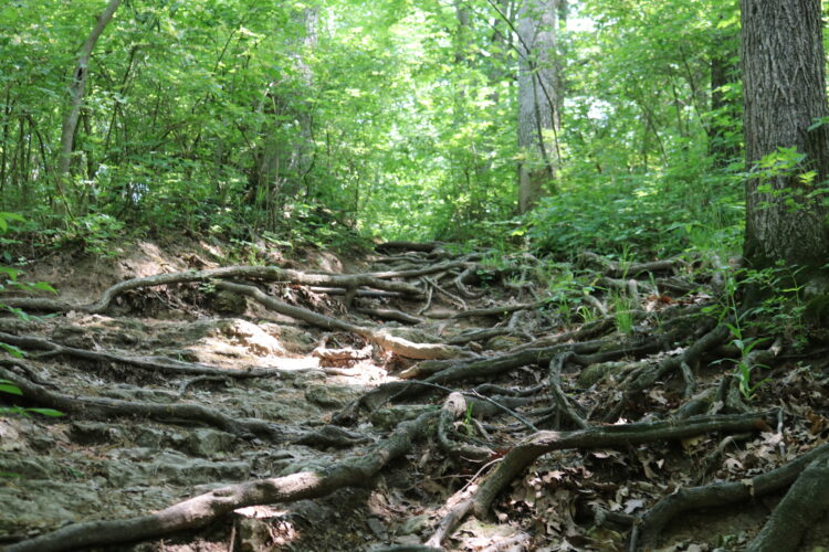 Perry Farm Park - Bourbonnais Township Park District